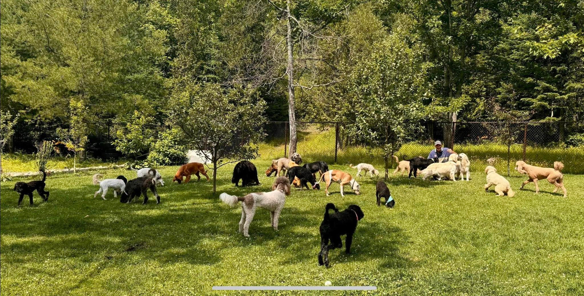 À propos – Dream home rescue